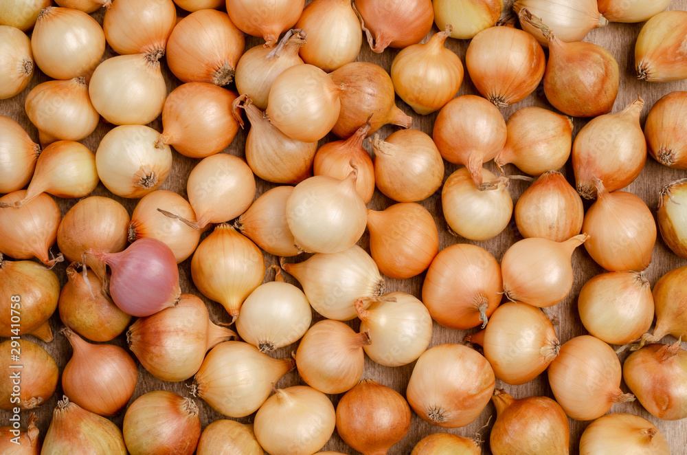 Raw little onions Stock Photo | Adobe Stock