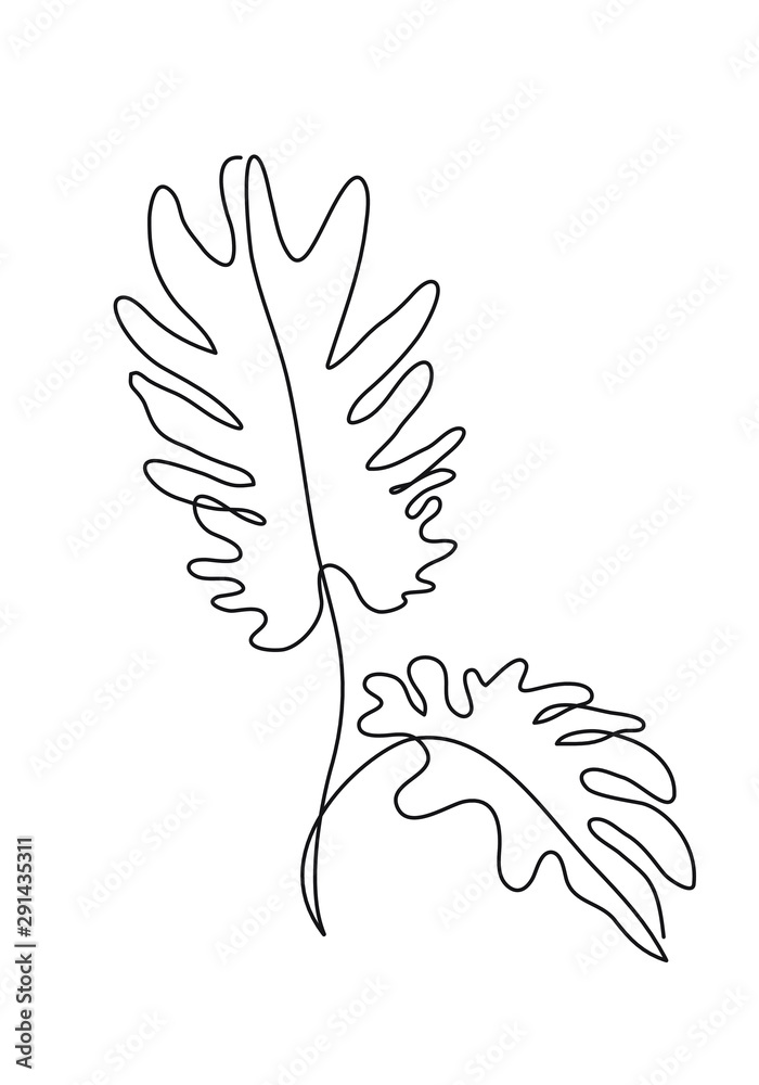 tropical jungle leaf of philodendron (also known Philodendron ...