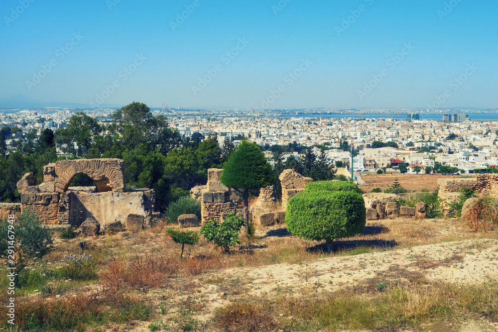 Roman ruins and Carthage houses of the Punic wars. Archaeological ...