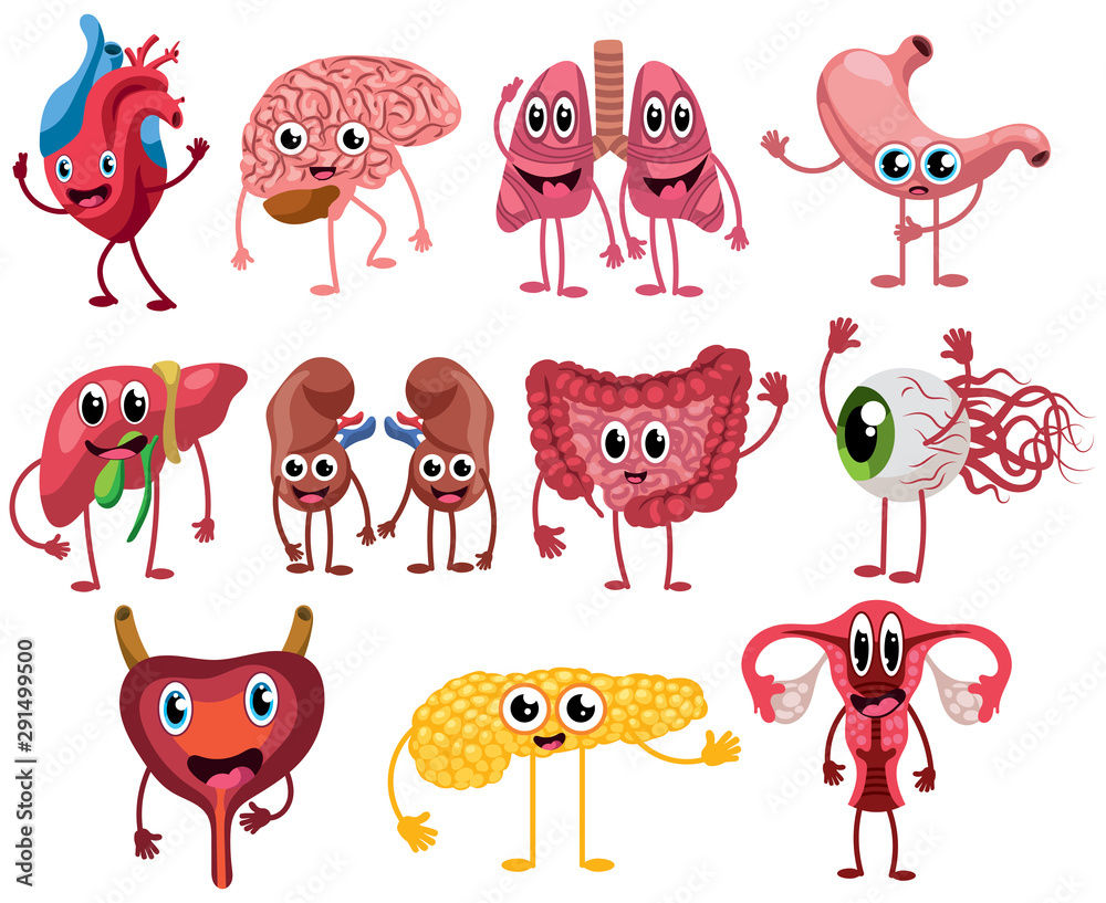 Set of cute and funny healthy human organ characters. Collection of ...