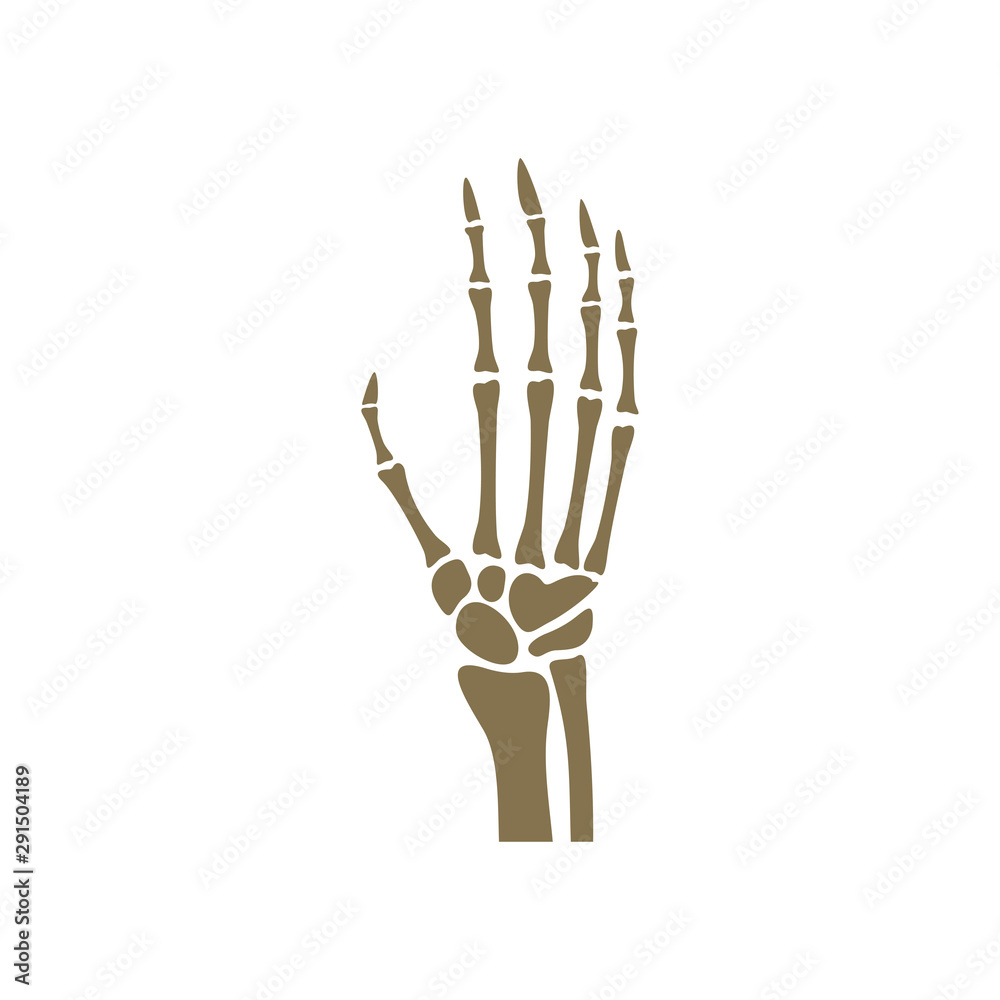Human bone orthopedic Logo Concept Vector. Bone x-ray image of human ...
