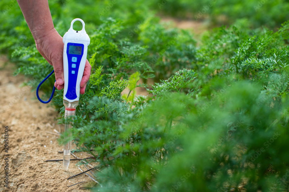 Measure soil with digital device. Green plants and woman farmer measure ...