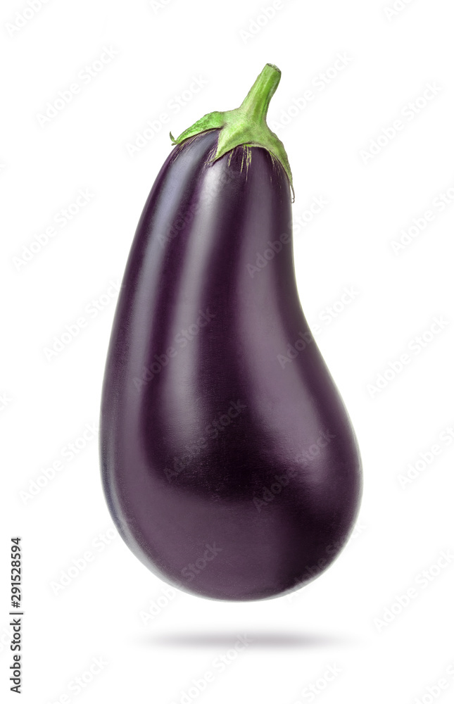 Single Brinjal Images