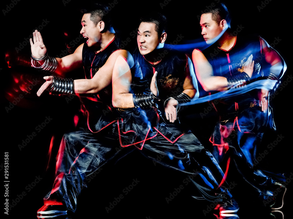 wushu chinese boxing kung fu Hung Gar fighter isolated man isolated on ...