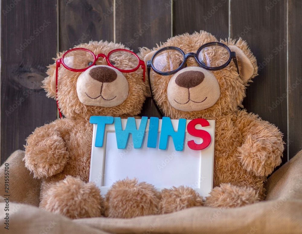 Cute twins brown bears, one wear red glasses and other one wears black ...