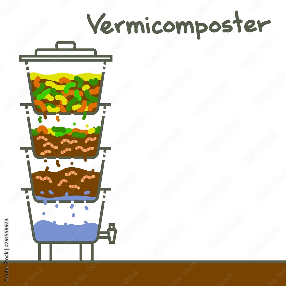 Vermicomposting: striped worms that process organic waste from the ...
