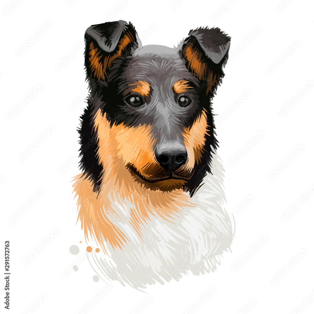 Smooth Collie dog digital art illustration isolated on white background ...