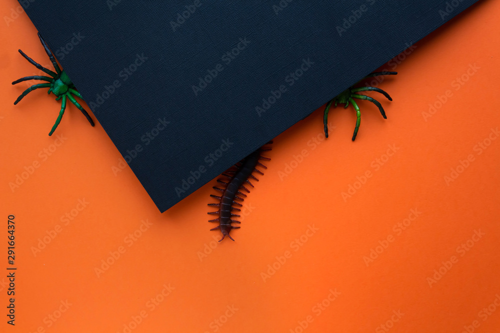 Halloween concept. Black spiders and other insects crawling out of ...