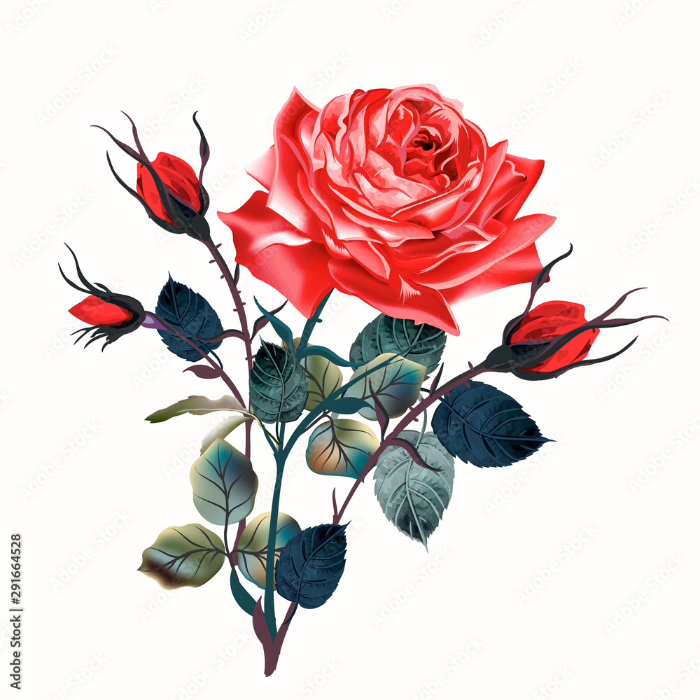Beautiful vector realistic rose in vintage antique high detailed style ...