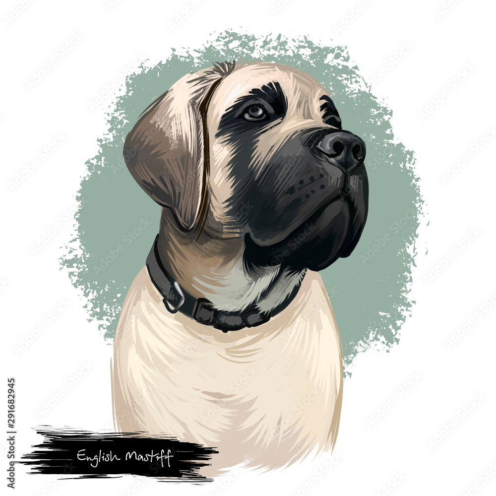English Mastiff, Old English Mastiff, Mastiff dog digital art ...