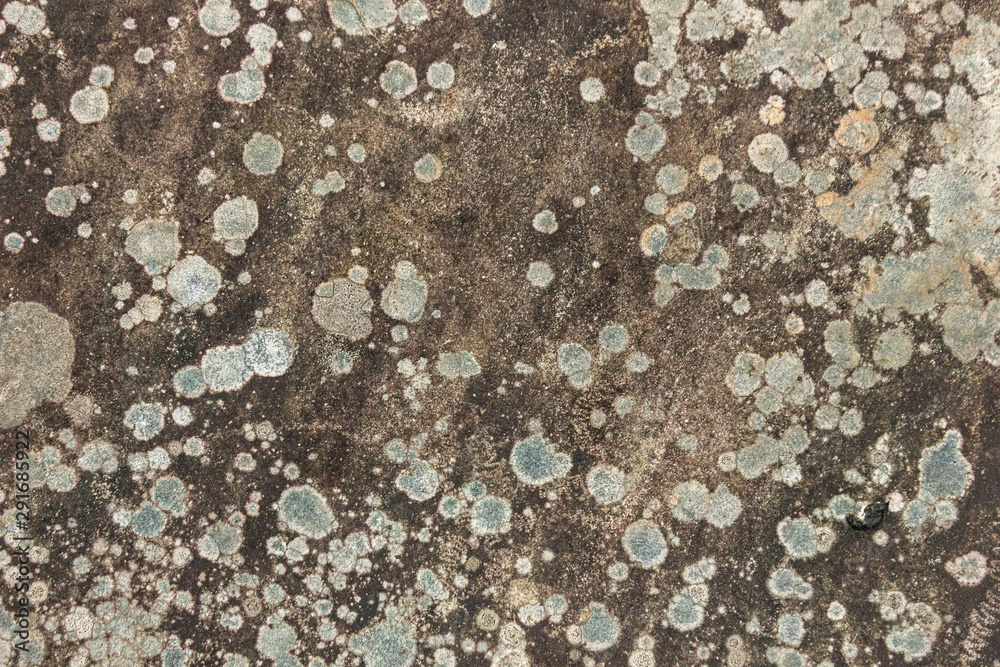 Old concrete texture background for design. Authentic Cemetery and ...