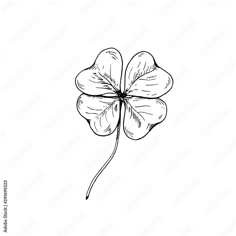 Clover sketch. Hand drawn four leaf clover. Vector illustration ...