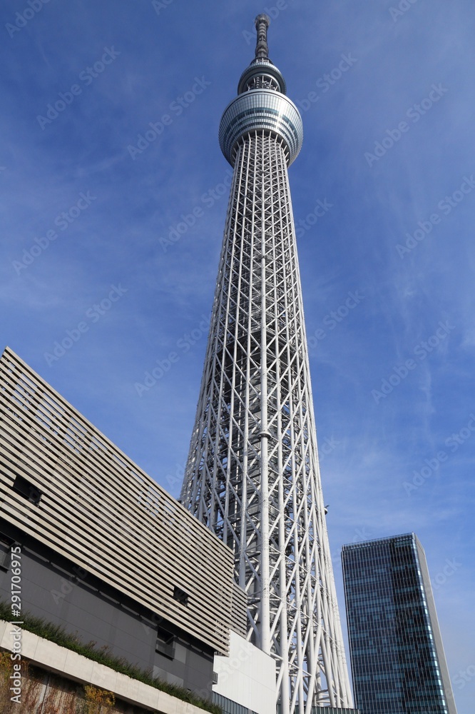 TOKYO, JAPAN - NOVEMBER 30, 2016: Skytree tower in Tokyo, Japan. The ...