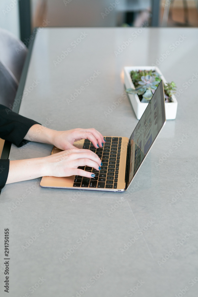 Girl typing on gold laptop keyboard, business woman, female ...