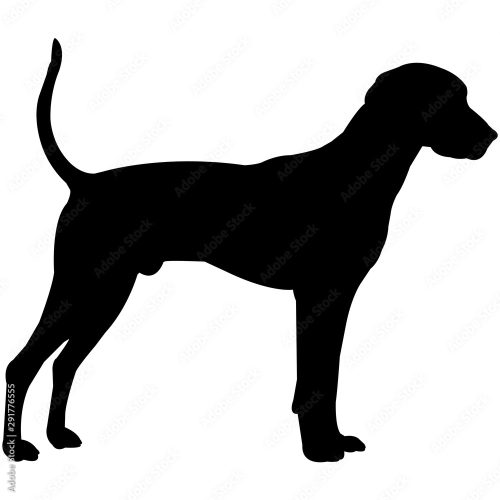 Plot Hound Silhouette Vector Stock Vector | Adobe Stock
