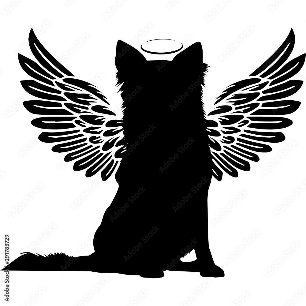 Angel Full Page Borders