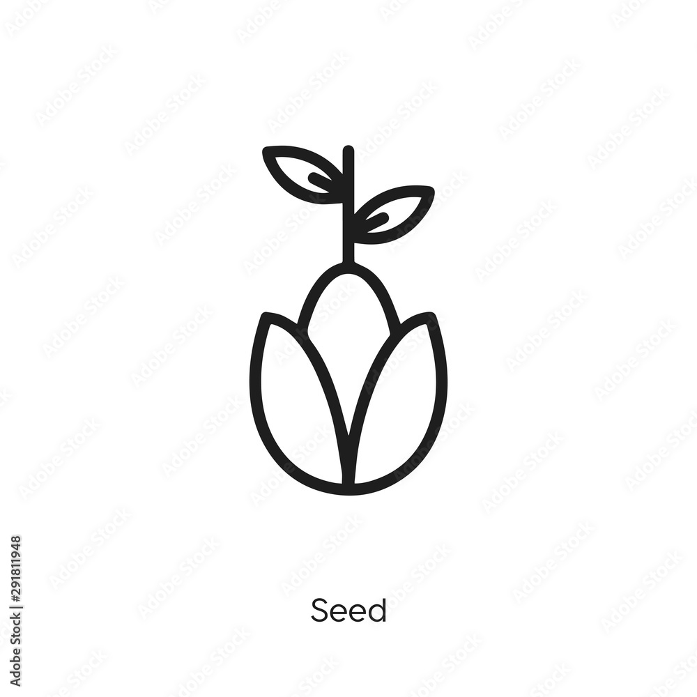seed icon. seed icon vector. Linear style sign for mobile concept and ...