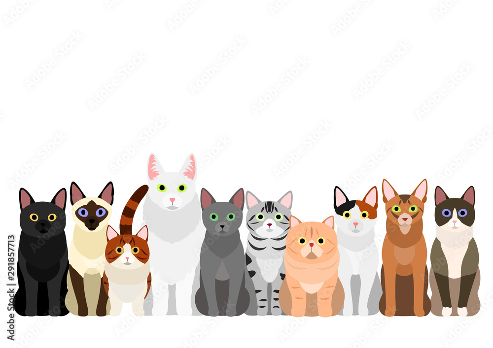 group of various cats Stock Vector | Adobe Stock
