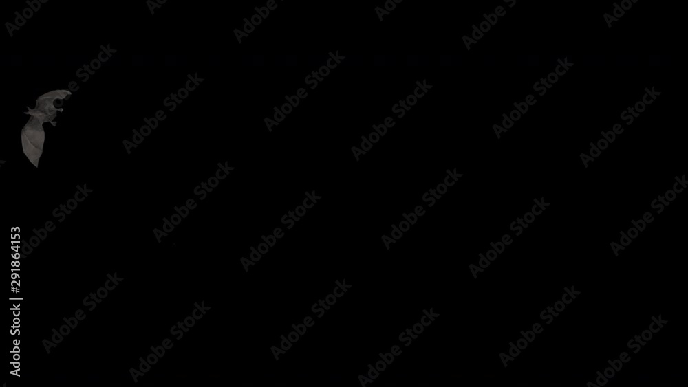 Bat flying from right to left side of screen. Slow motion. Realistic 3D ...