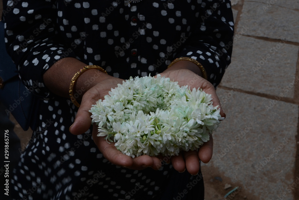 gajra in woman's hand Stock Photo | Adobe Stock