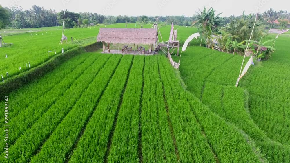 traditional balinese rice farming hut, aerial view filmed in 4k from ...