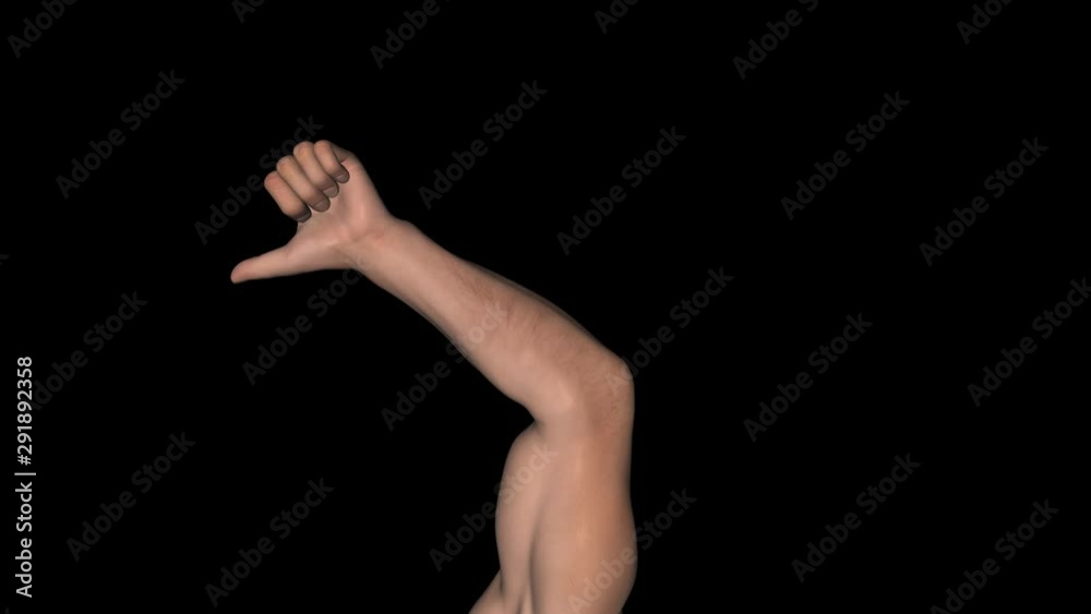 White male hand showing thumb up. Face view. Realistic 3D animation ...