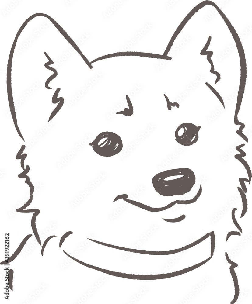 Shama the corgi with a collar. Dog behaviour and rules for owners. Hand ...