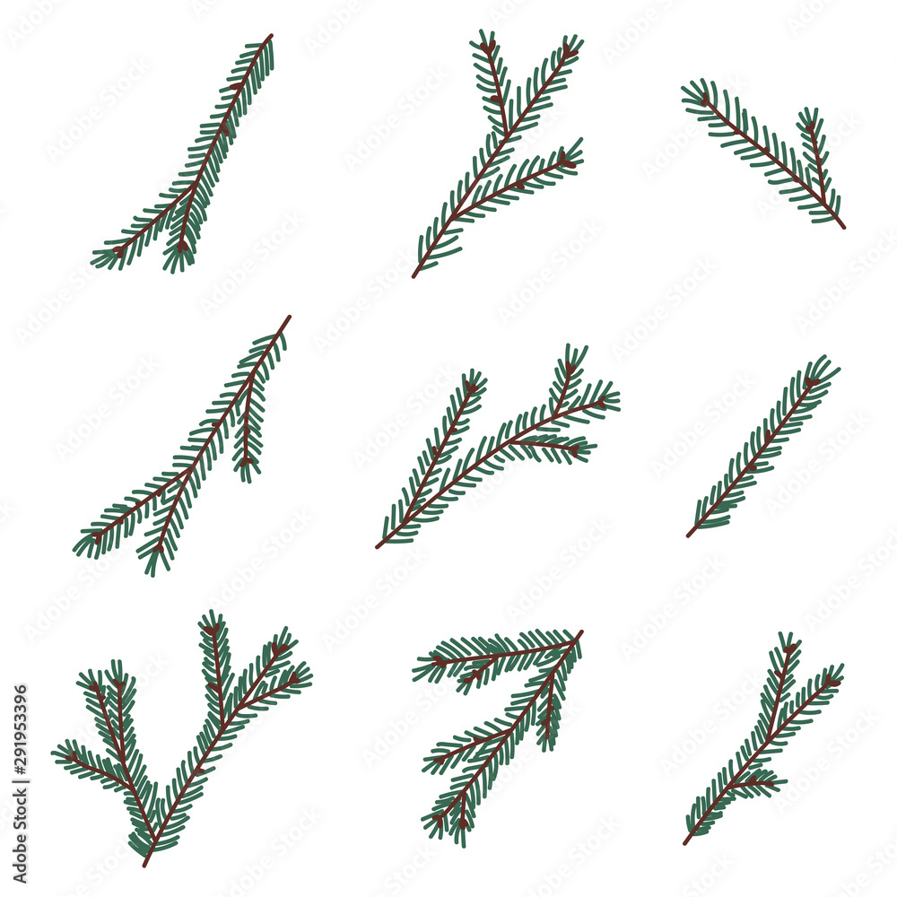 Fir tree branches vector simple elements set isolated on a white ...