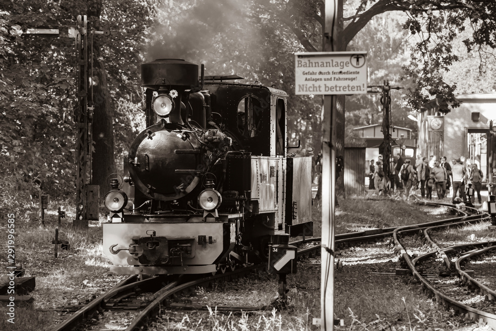 Small Steam Locomotive in forest, narrow gauge railway in forest, small ...