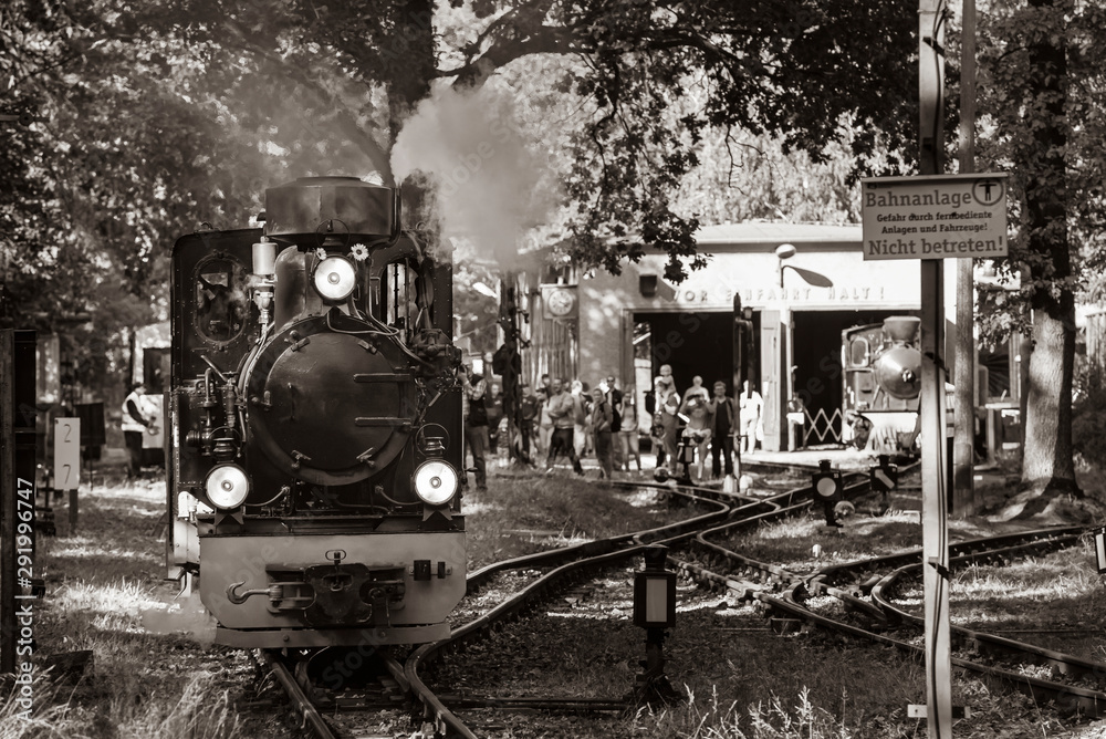 Small Steam Locomotive in forest, narrow gauge railway in forest, small ...