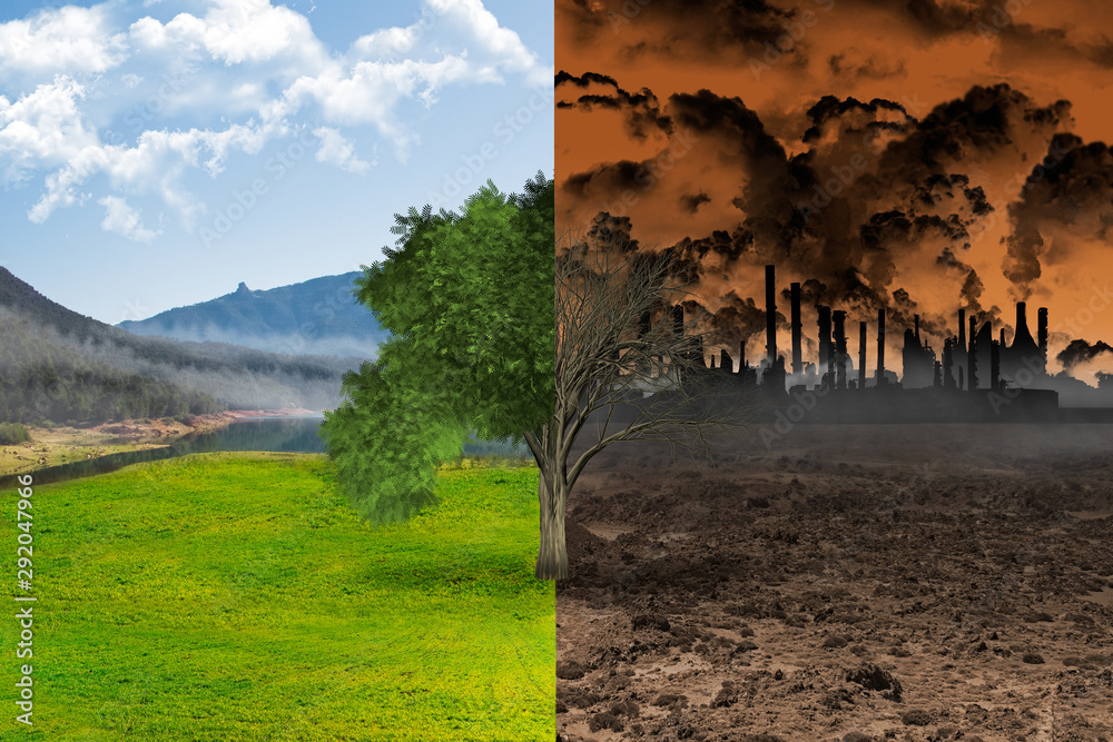 Life and death of a tree as a concept of global warming. Life vs ...