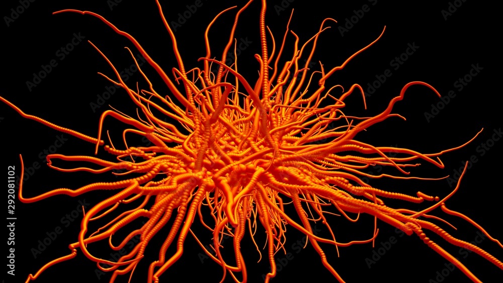 Photo & Art Print Mycelium network , fungal root system growing, vrx123