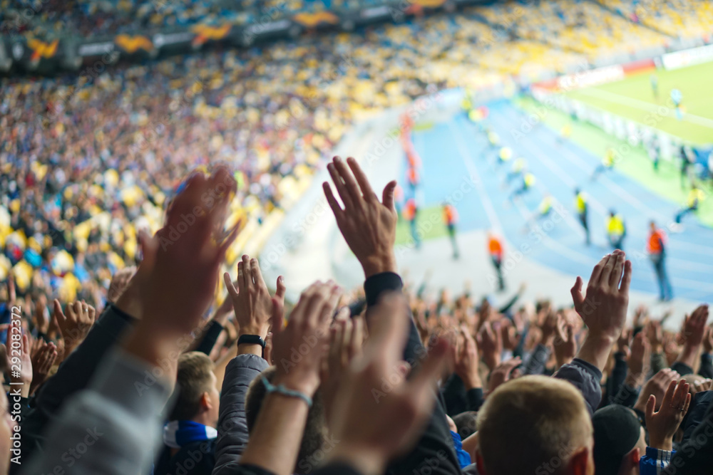 Soccer Goal Fan Celebration