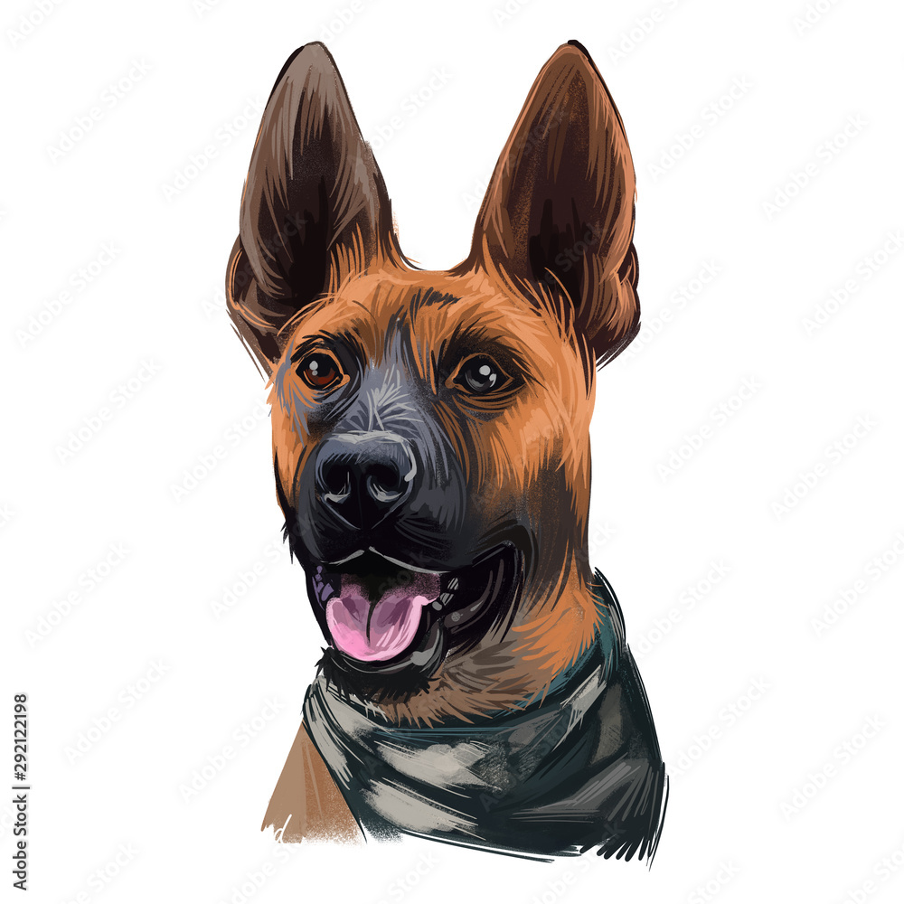 Plott Hound dog portrait isolated on white. Digital art illustration of ...