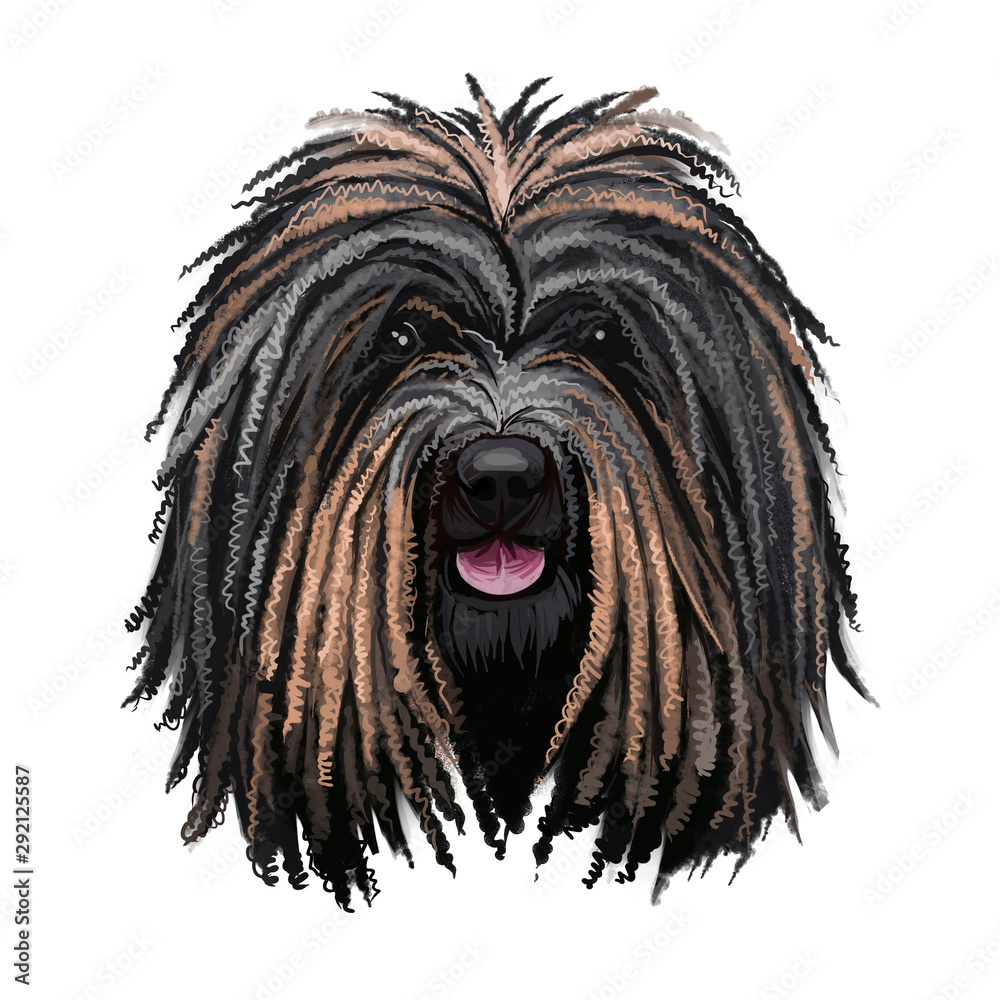 Puli dog portrait isolated on white. Digital art illustration of hand ...