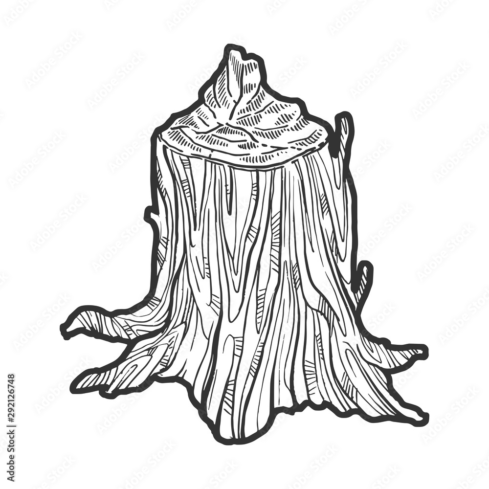 Stump of tree made by beaver animal sketch engraving vector ...