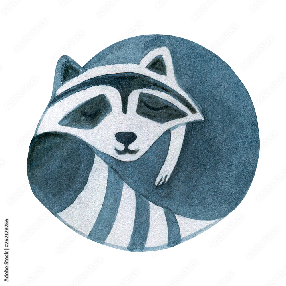 Watercolor sleeping raccoon lying isolated on white background, wild ...