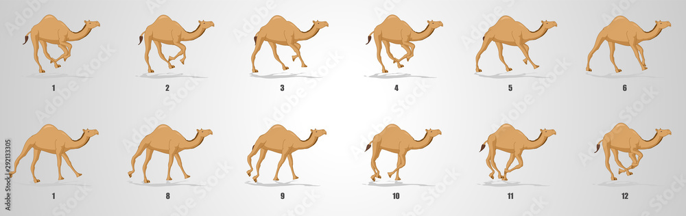 Camel Run cycle animation sequence Stock Vector | Adobe Stock