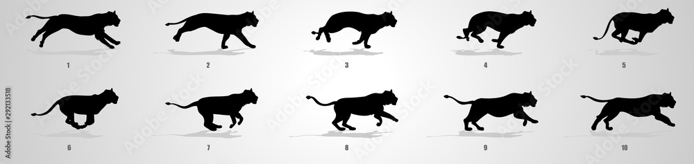 Lioness Run cycle animation sequence Stock Vector | Adobe Stock