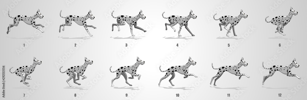 Animation Du Cycle De Course