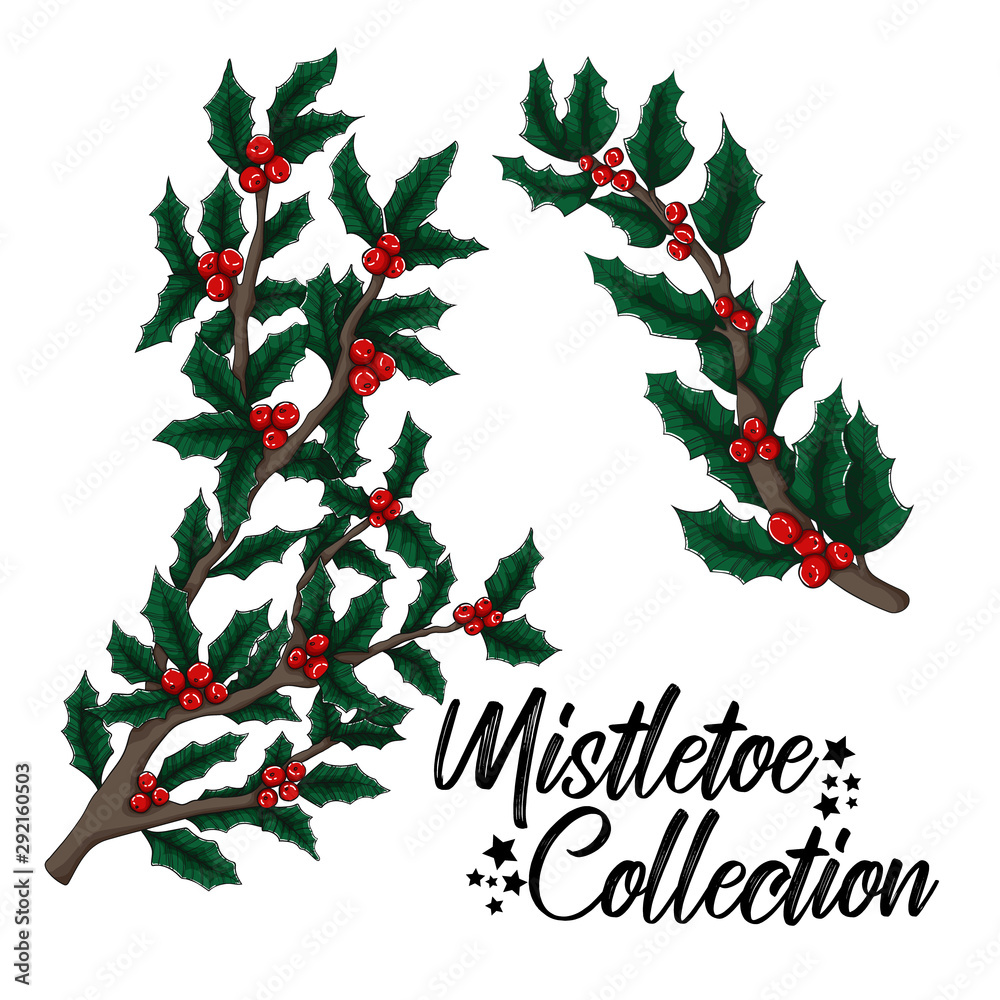 Mistletoe Branch Vector
