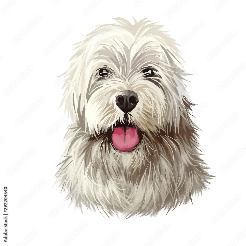 Sapsali dog portrait isolated on white. Digital art illustration of ...