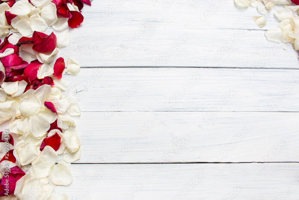 Red and white rose petals border on a white wooden background. Place ...