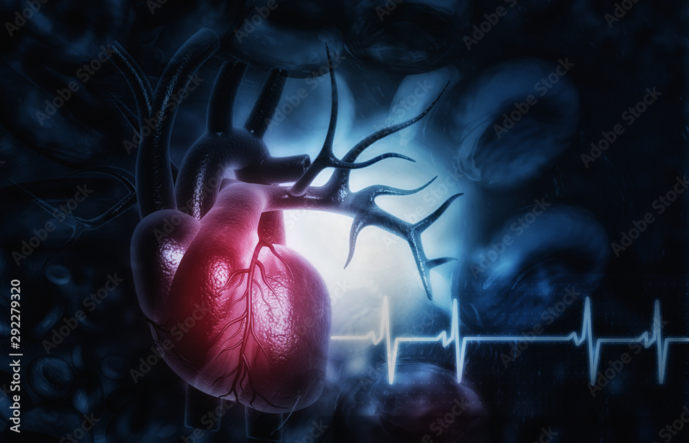 3d illustration of Abstract medical background with Human heart anatomy ...