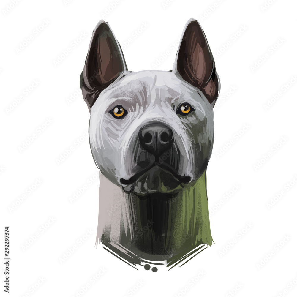 Blue Thai Ridgeback dog portrait isolated on white. Digital art ...