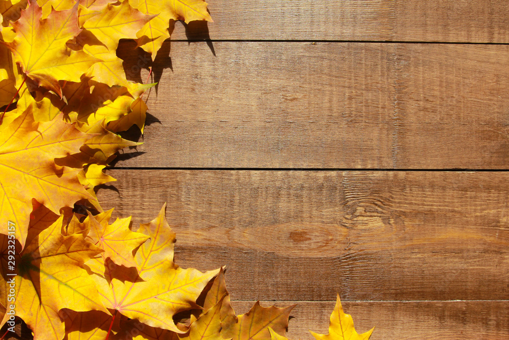 November Leaves Border