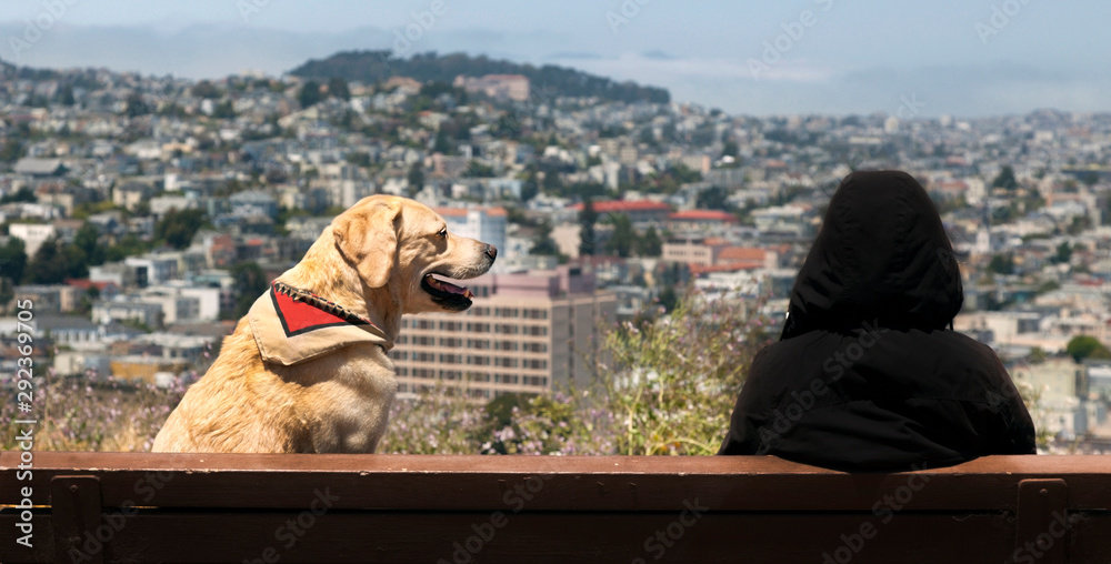Dog looking at seated person wearing a black hoodie with back to camera ...