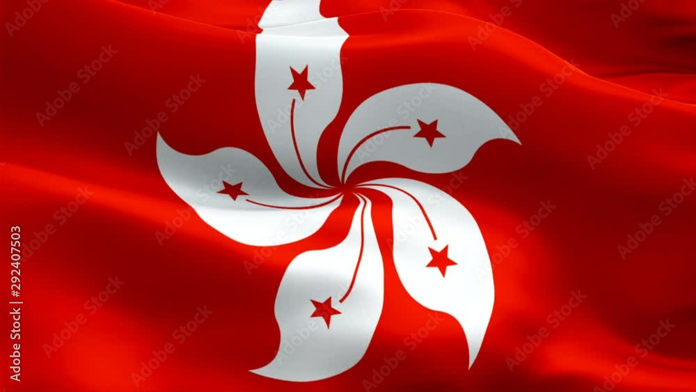 Vidéo Stock Hong Kong flag Motion Loop video waving in wind. Realistic ...