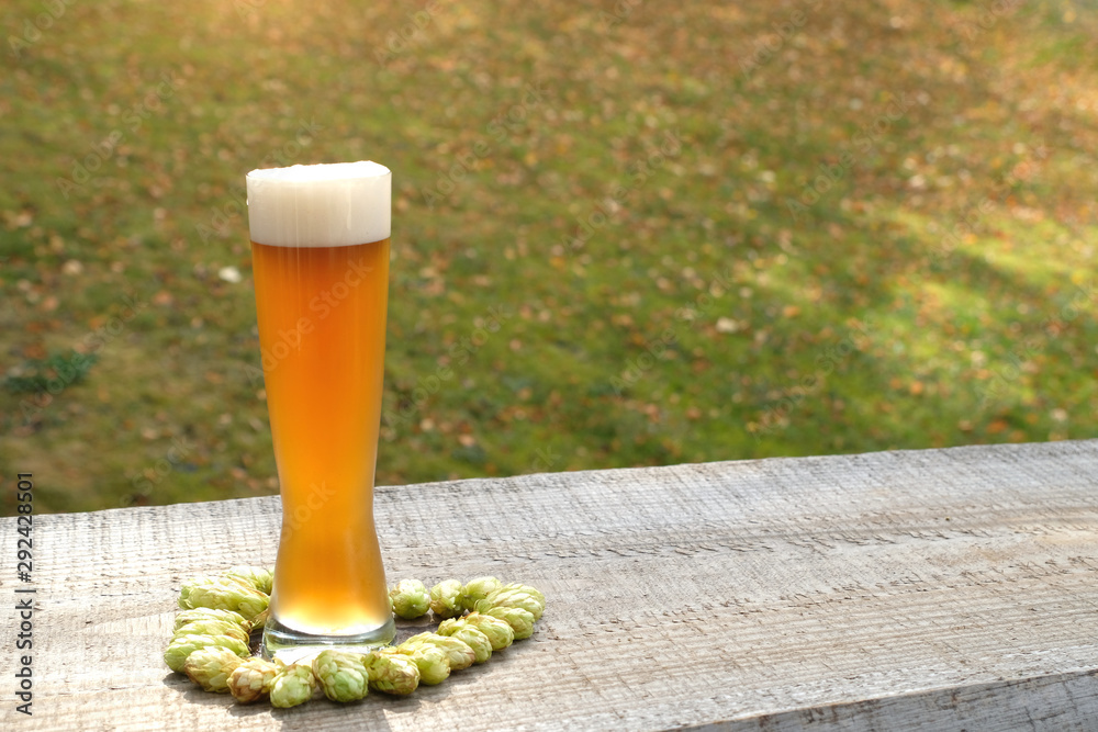 Close up front view of Weissbier (white beer) classic best well-known ...