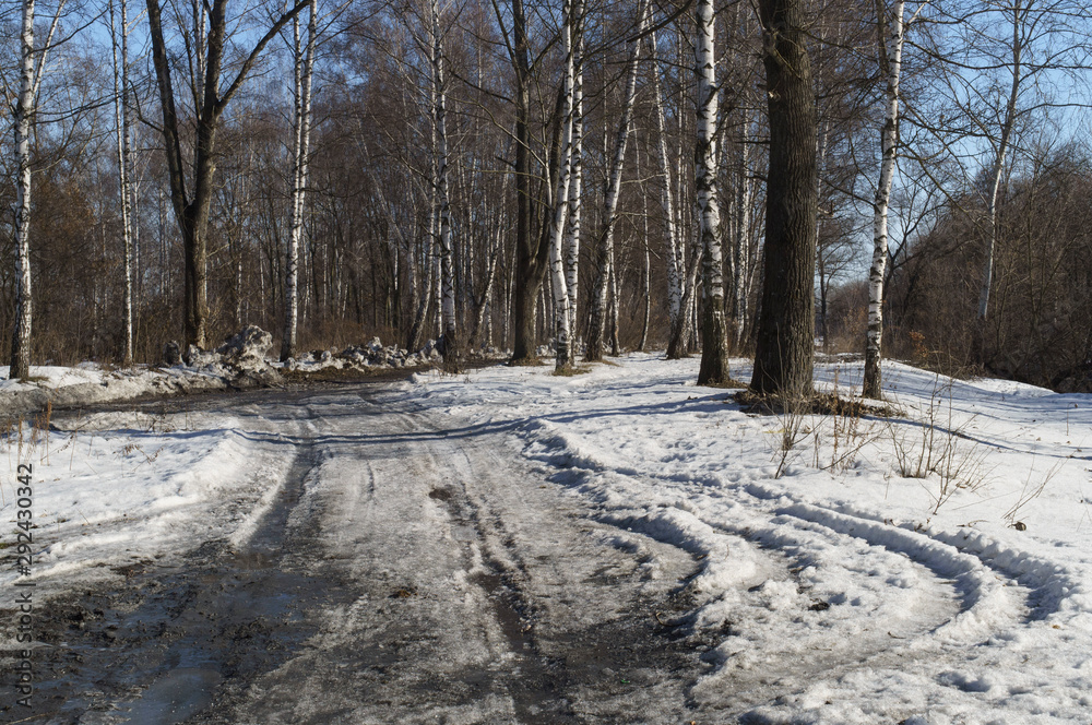 Dirt road in the forest with melt snow, water and mud, the first cold ...